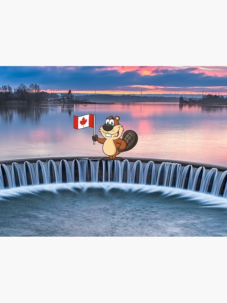 Poster « Toile de castor, castor, animal, animaux, art mural castor ...