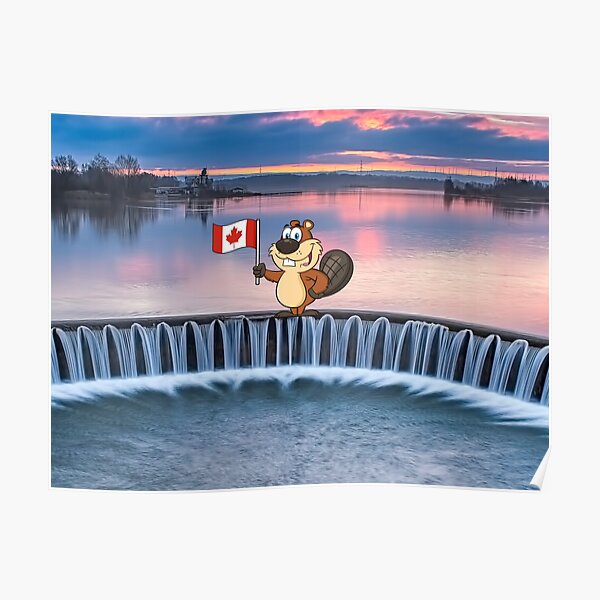 Poster « Toile de castor, castor, animal, animaux, art mural castor ...