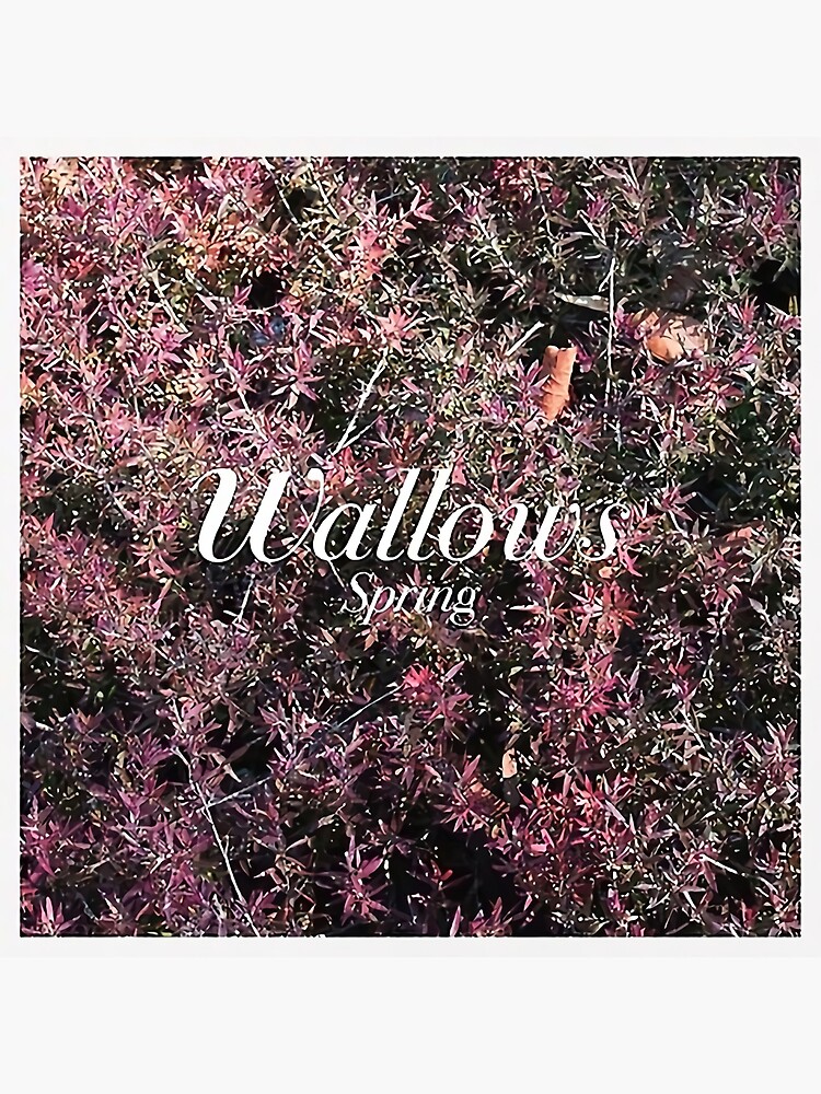 "Wallows Spring - " Poster for Sale by lsxcermikouj | Redbubble