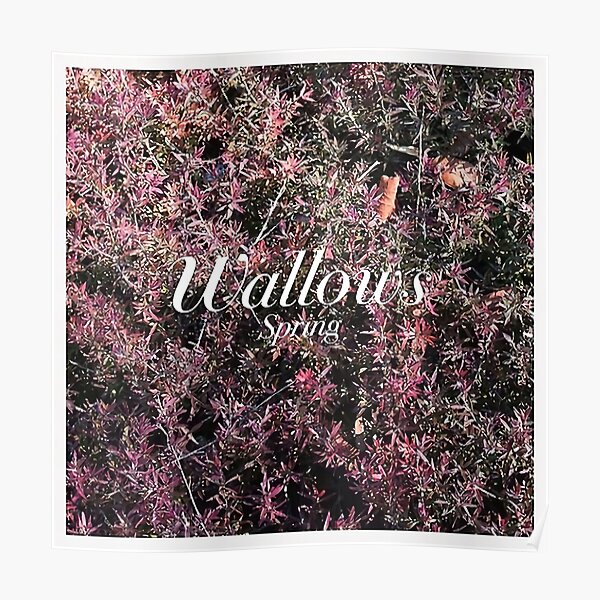 "Wallows Spring - " Poster for Sale by lsxcermikouj | Redbubble