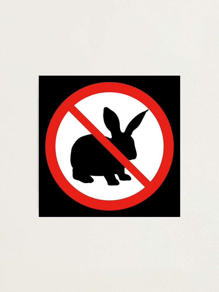 "Prohibited Sign Not allowed No bunnies rabbit" Photographic Print for ...