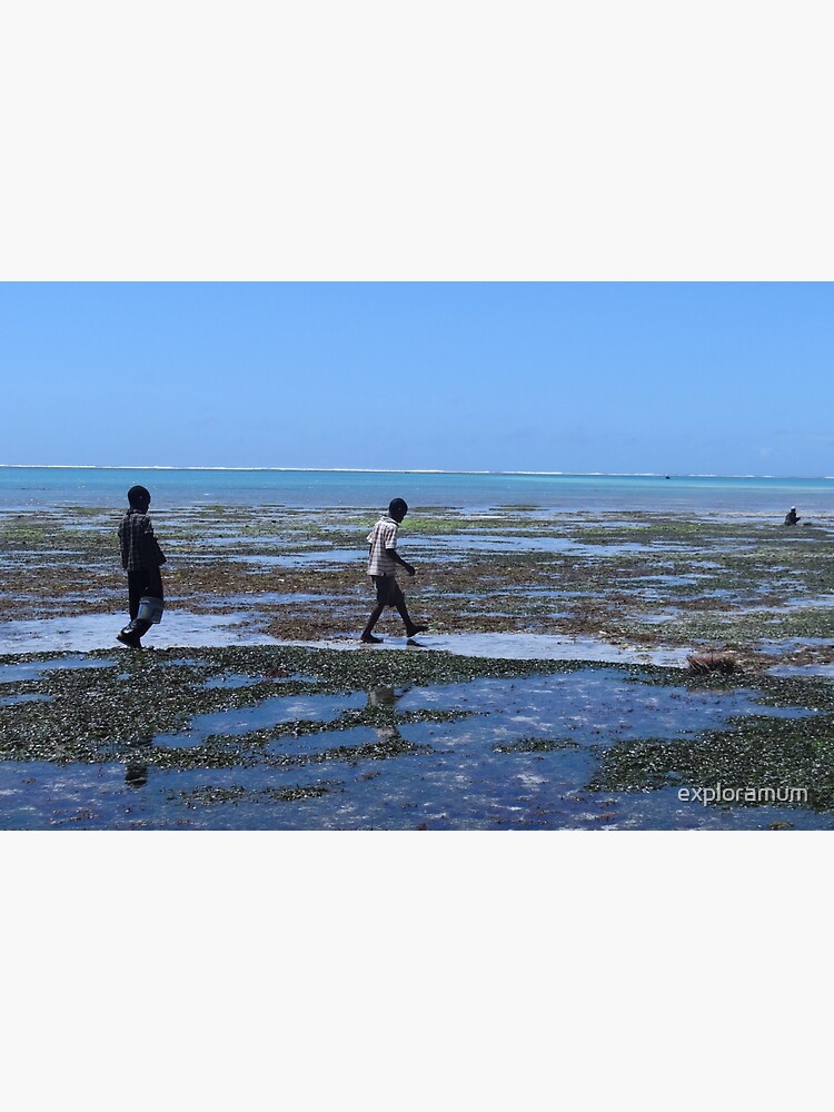 "Collecting shells on the reef in Kenya 1" Sticker for Sale by ...