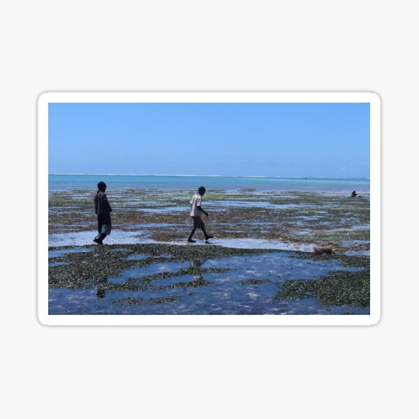 "Collecting shells on the reef in Kenya 1" Sticker for Sale by ...