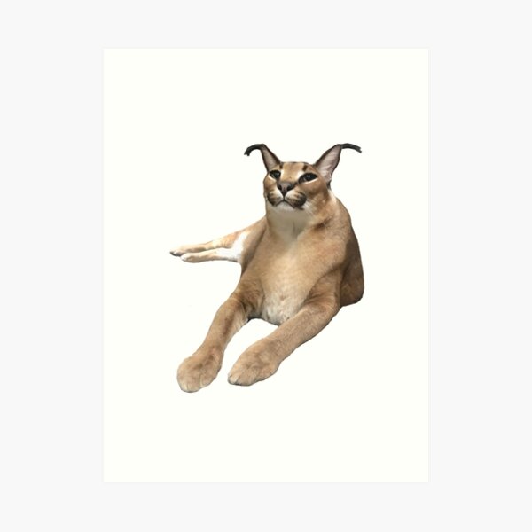 "Big Floppa" Art Print for Sale by Socks317 | Redbubble