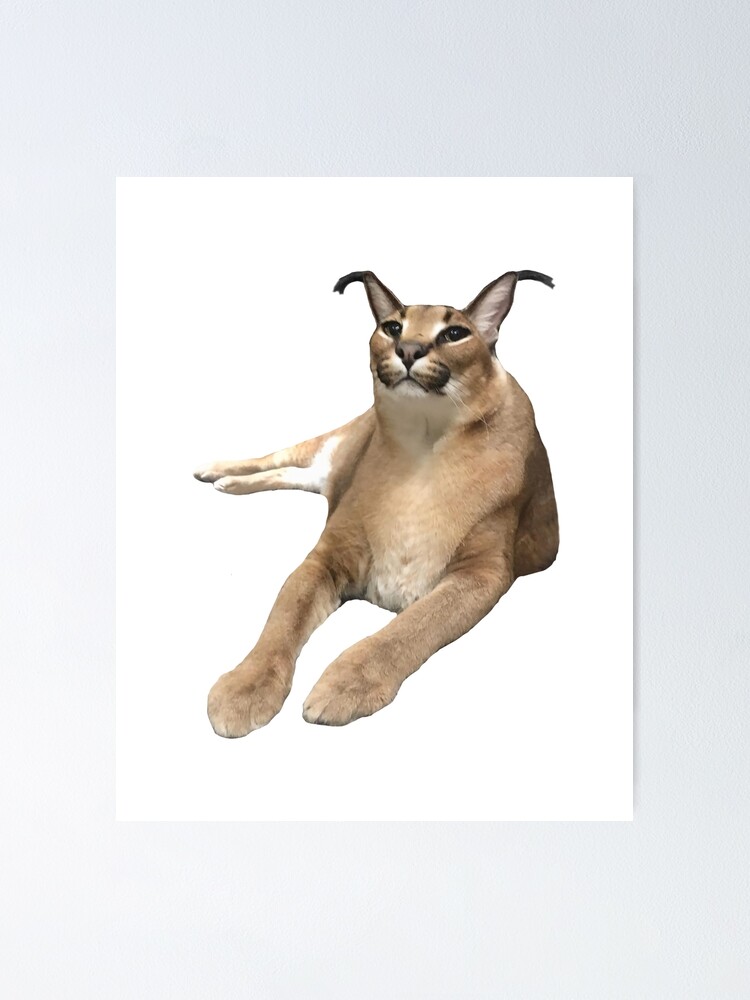 "Big Floppa" Poster for Sale by Socks317 | Redbubble