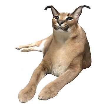 "Big Floppa" Poster for Sale by Socks317 | Redbubble