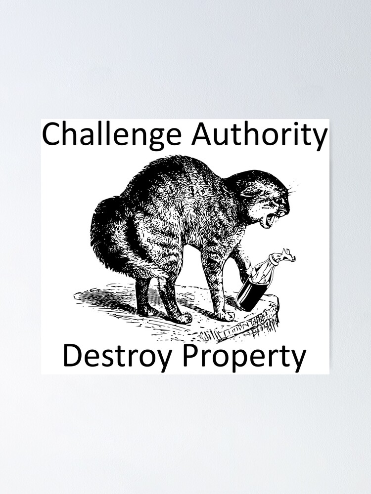 "Anarchy kitty" Poster for Sale by mkmphoto | Redbubble