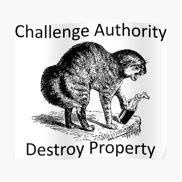 "Anarchy kitty" Poster for Sale by mkmphoto | Redbubble