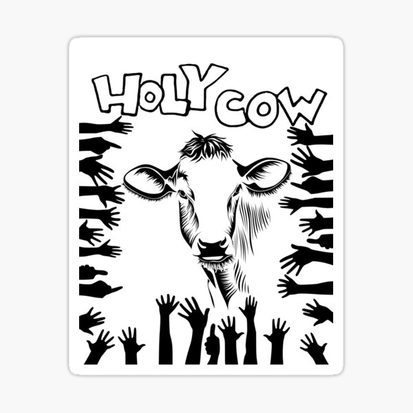 "HOLY COW Funny Cow Design" Sticker by LordAudes | Redbubble