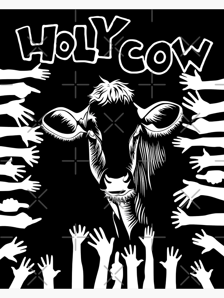 "HOLY COW Funny Cow joke Design" Sticker for Sale by LordAudes | Redbubble