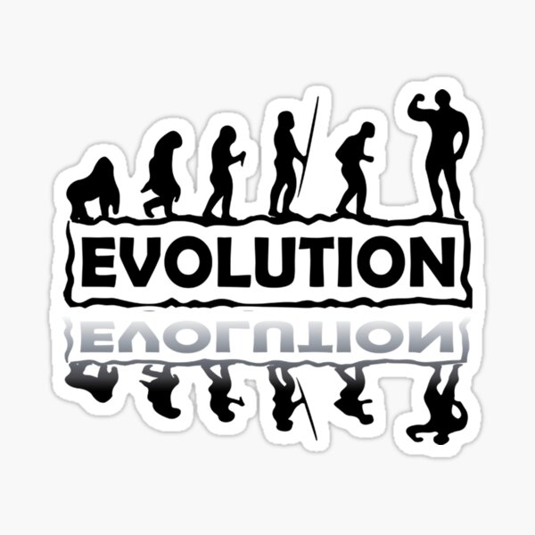 "Evolution" Sticker for Sale by Funkyplaza | Redbubble