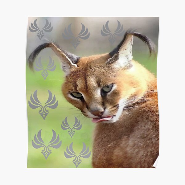 Zabloing Floppa Posters | Redbubble