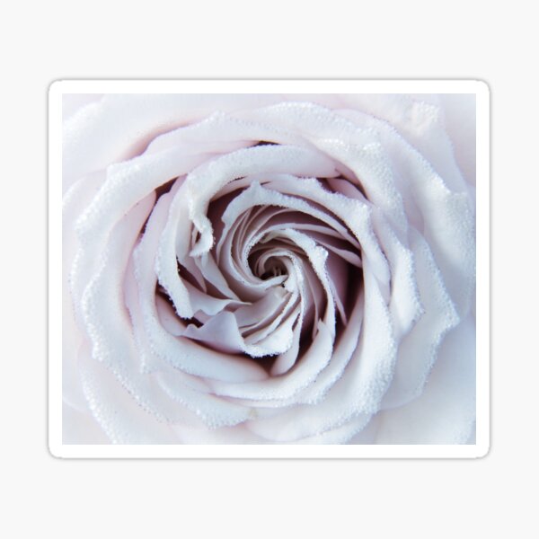 "Inwards" Sticker for Sale by ImageEvolution | Redbubble