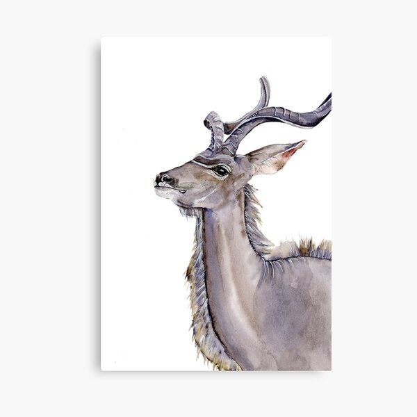 Kudu Art Canvas Prints | Redbubble
