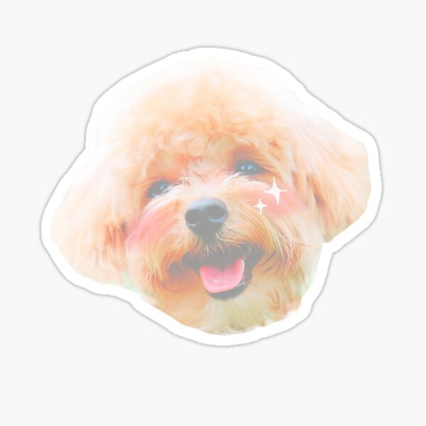 "Poodle aesthetic dog sticker" Sticker for Sale by TeamFluff | Redbubble