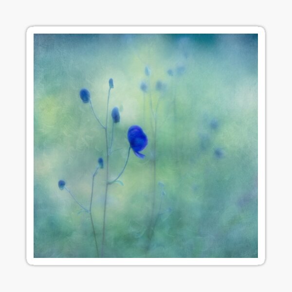 "Indigo" Sticker for Sale by Mirror | Redbubble