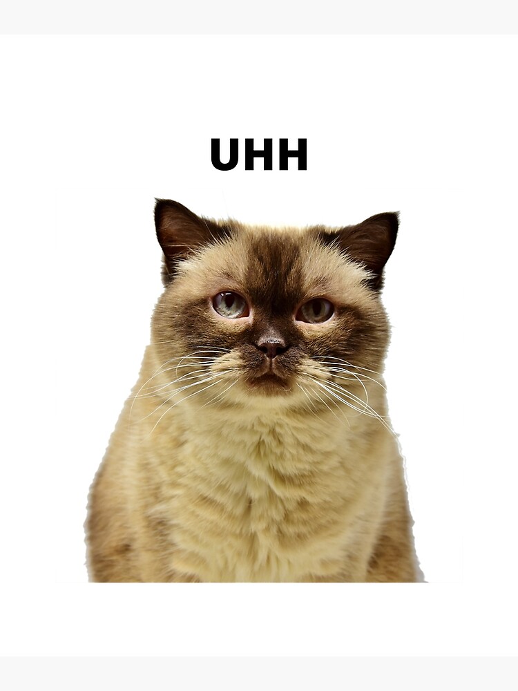 "Uhh funny cat design" Poster by DrinkTheWildAir | Redbubble