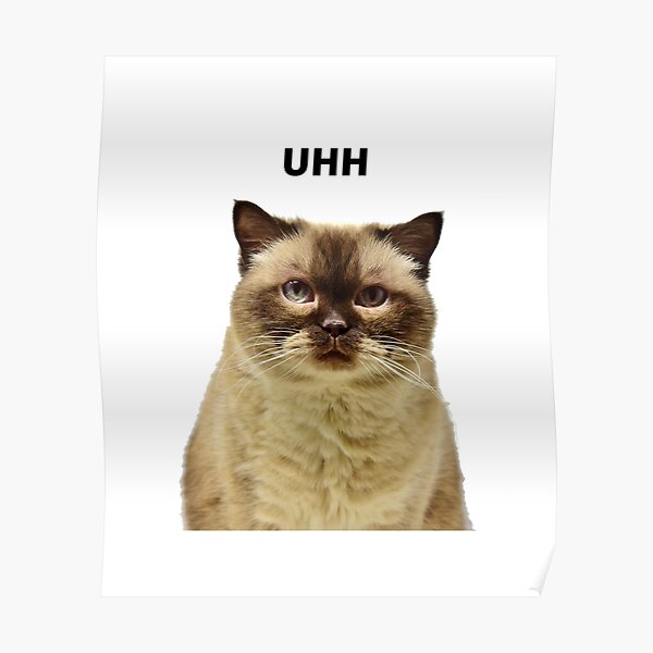 "Uhh funny cat design" Poster by DrinkTheWildAir | Redbubble