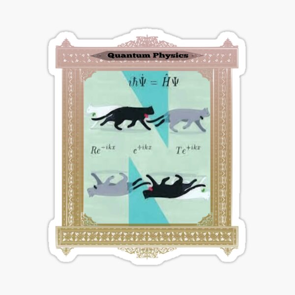 "quantum physics " Sticker for Sale by MrNik | Redbubble