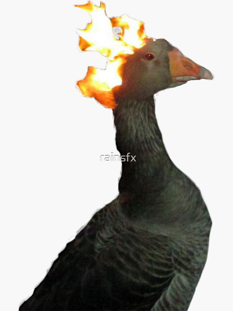 "Flaming Duck meme" Sticker by rsticks | Redbubble