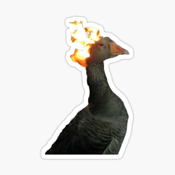 "Flaming Duck meme" Sticker by rsticks | Redbubble