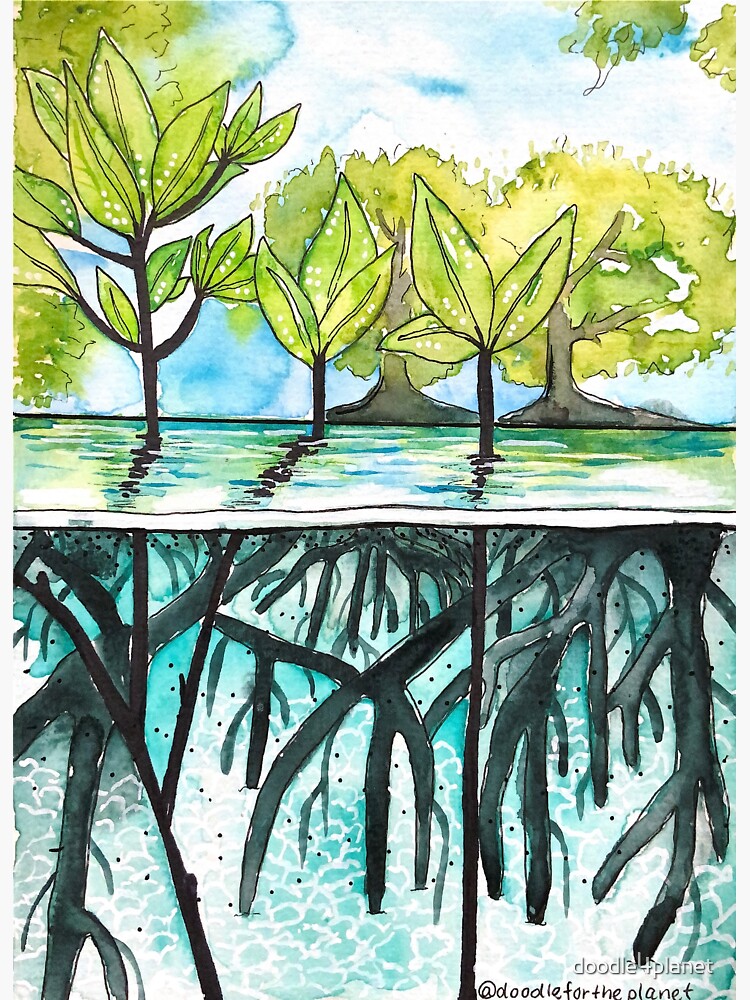 "Mangroves" Sticker by doodle4planet | Redbubble