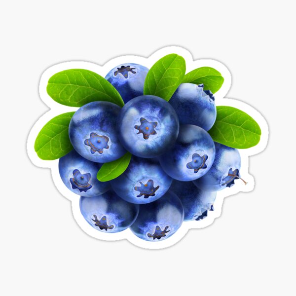 "Blueberries" Sticker by 6hands | Redbubble