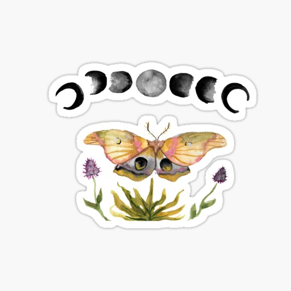 "Moon Moth" Sticker by MoonandTrees | Redbubble