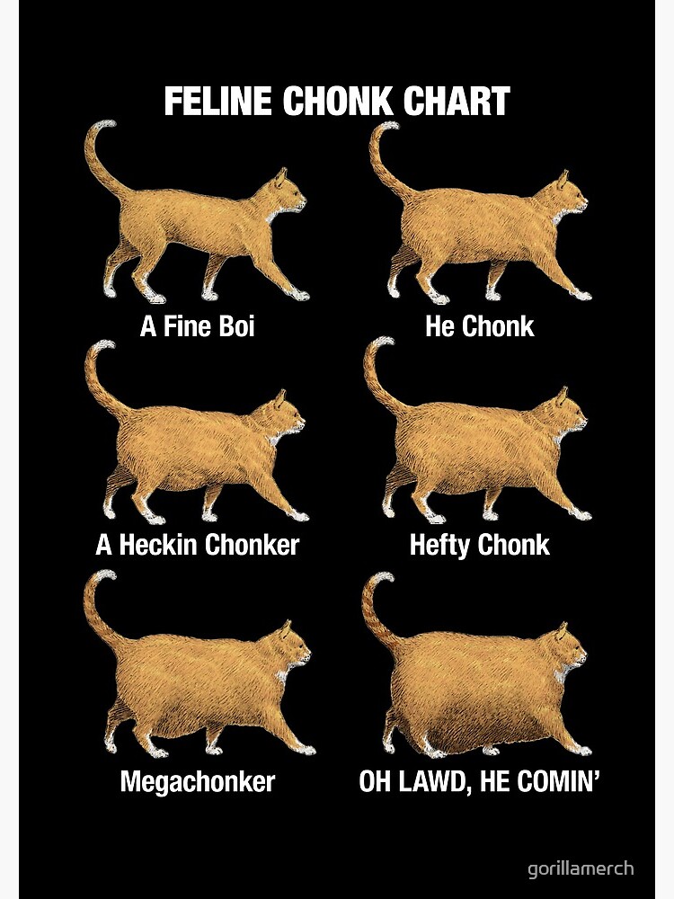 "Feline Conk Chart, Funny Chonk Cat Meme" Journal for Sale by ...