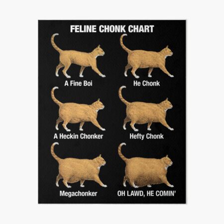 "Feline Conk Chart, Funny Chonk Cat Meme" Art Board Print for Sale by ...