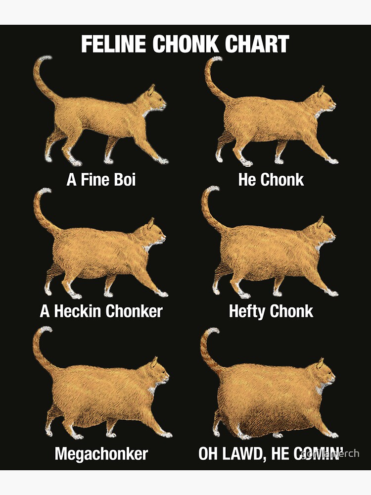 "Feline Conk Chart, Funny Chonk Cat Meme" Sticker for Sale by ...