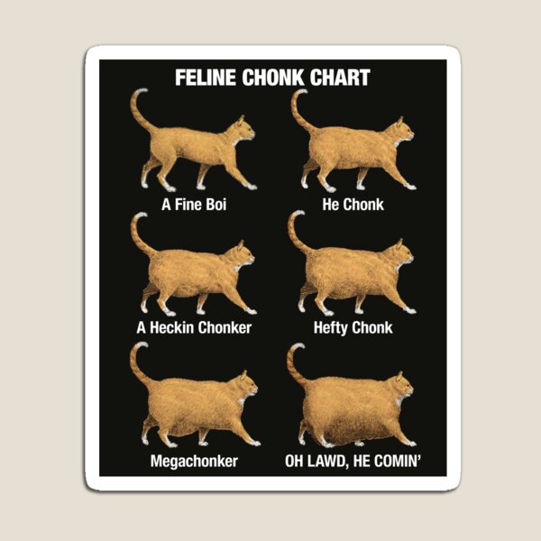 "Feline Conk Chart, Funny Chonk Cat Meme" Magnet for Sale by ...