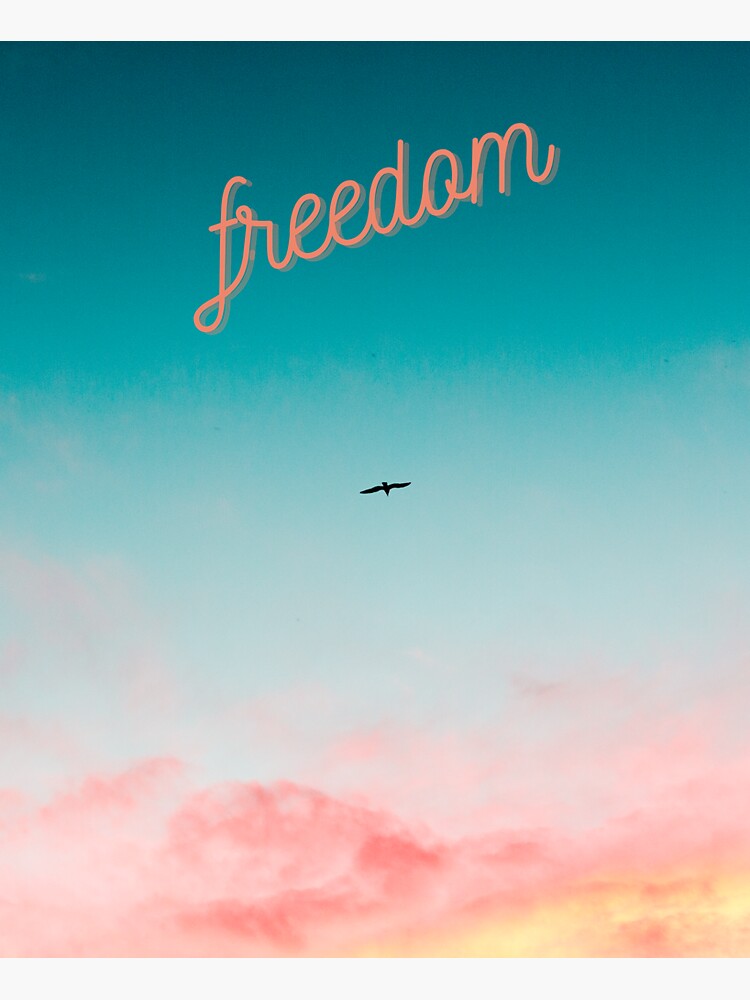 "Freedom - sunset sky with bird design" Sticker for Sale by YummyPomelo ...