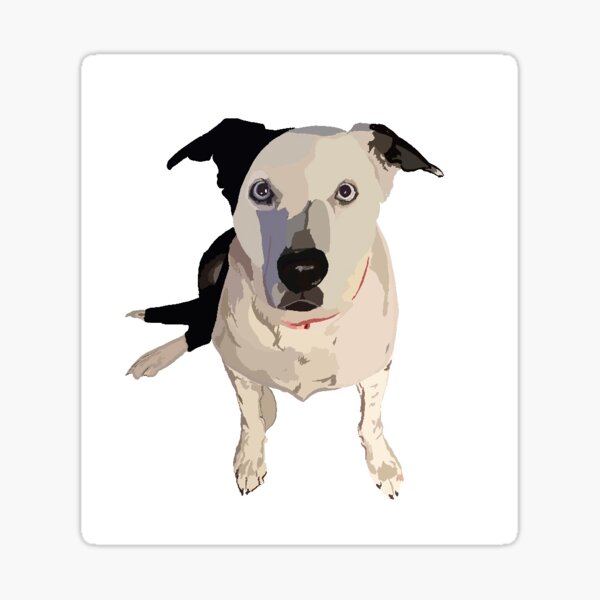 "Sassafras" Sticker for Sale by Khaos-Kontrol | Redbubble