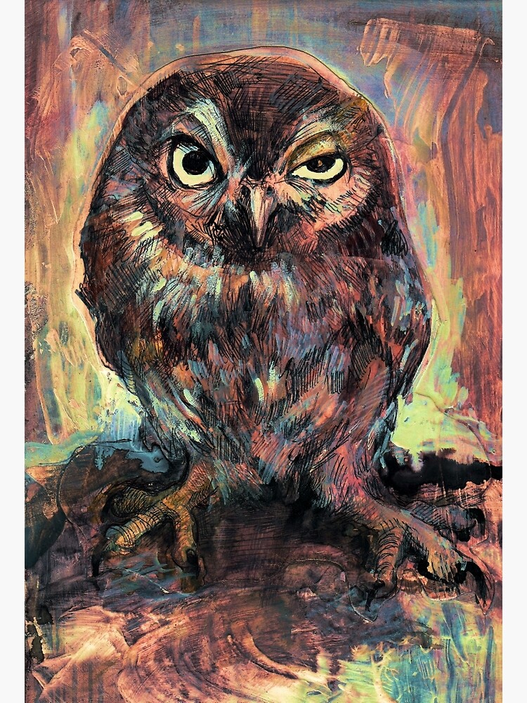 "Orly Owl" Art Print for Sale by illing | Redbubble
