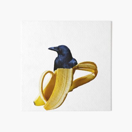 "Black Raven - Banana Fruit" Art Board Print for Sale by Move-Art ...