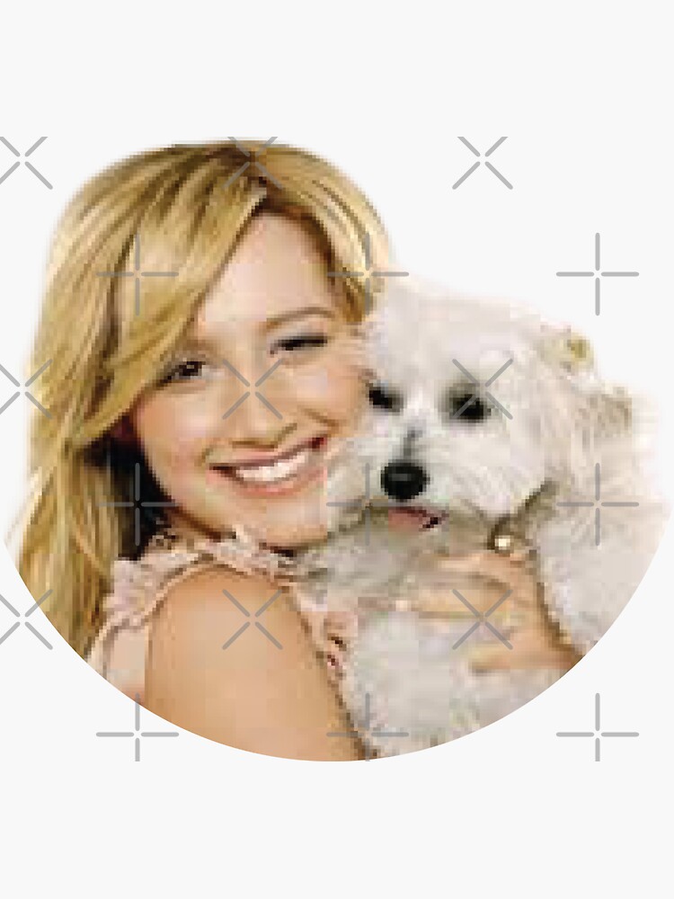 "Sharpay Evans Dog" Sticker by zakiKhan | Redbubble