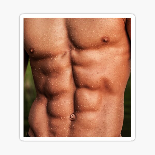 "Abs In Progress " Sticker by DonutsDoctor | Redbubble