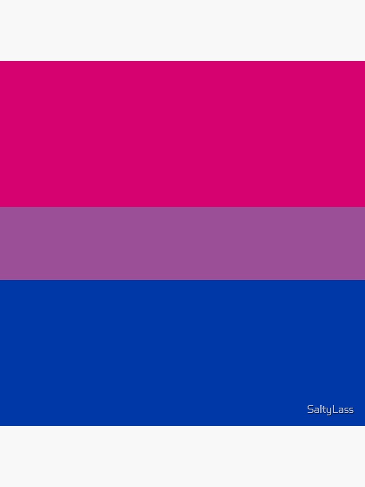 "Bi Pride Flag" Poster for Sale by SaltyLass | Redbubble