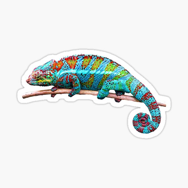 "Panther Chameleon- Stunning Reptile Lizard" Sticker for Sale by Elarex ...