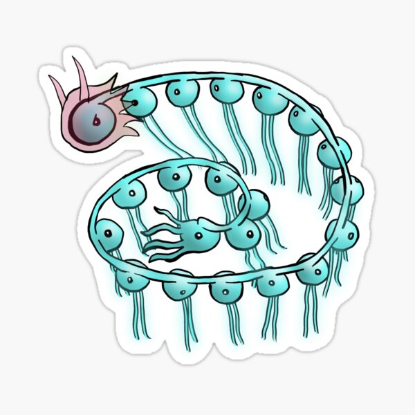 "Siphonophore" Sticker for Sale by Birds-And-More | Redbubble