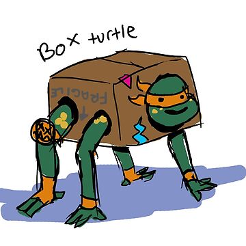"box turtle" Sticker for Sale by quibbb | Redbubble