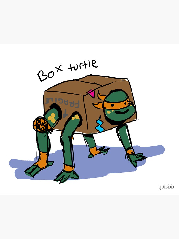 "box turtle" Sticker for Sale by quibbb | Redbubble