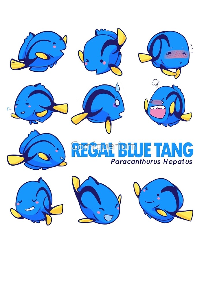"Regal Blue Tangs" by Comiquarium | Redbubble