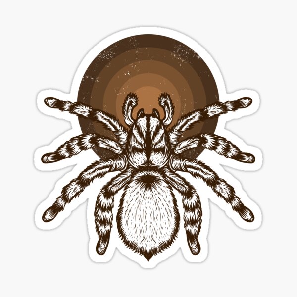 "Tarantula - Colour spectrum " Sticker for Sale by AFellowsFellow ...