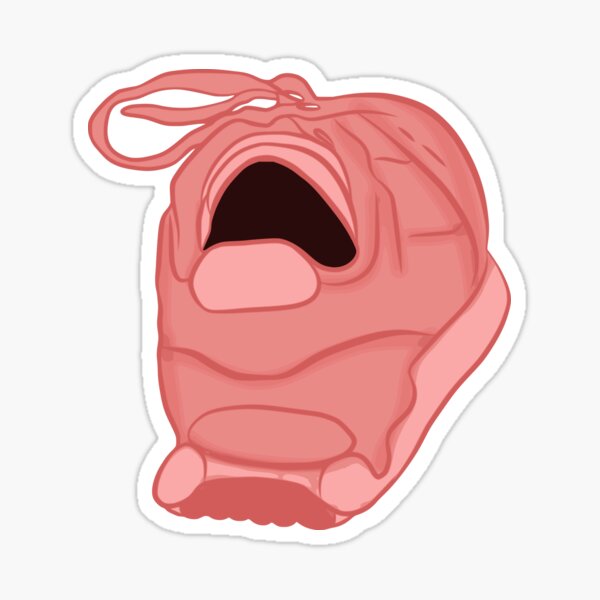 "Laughing Shoe Meme" Sticker for Sale by cannevas | Redbubble