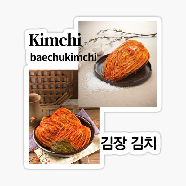 "Korea Cabbage Kimchi" Sticker by pure-ho | Redbubble