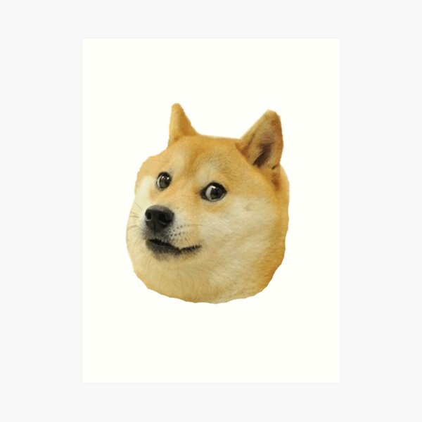 "shibe doge face" Art Print for Sale by catfantastic | Redbubble