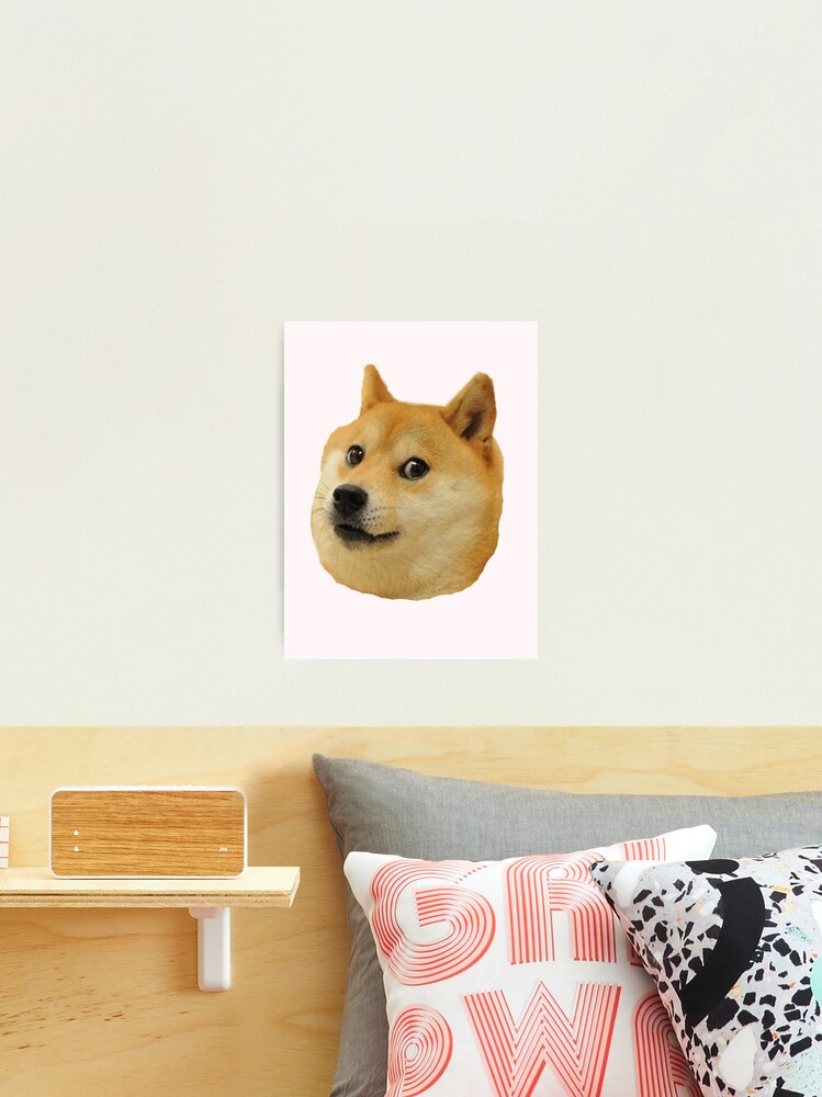 Shibe Doge Gesicht