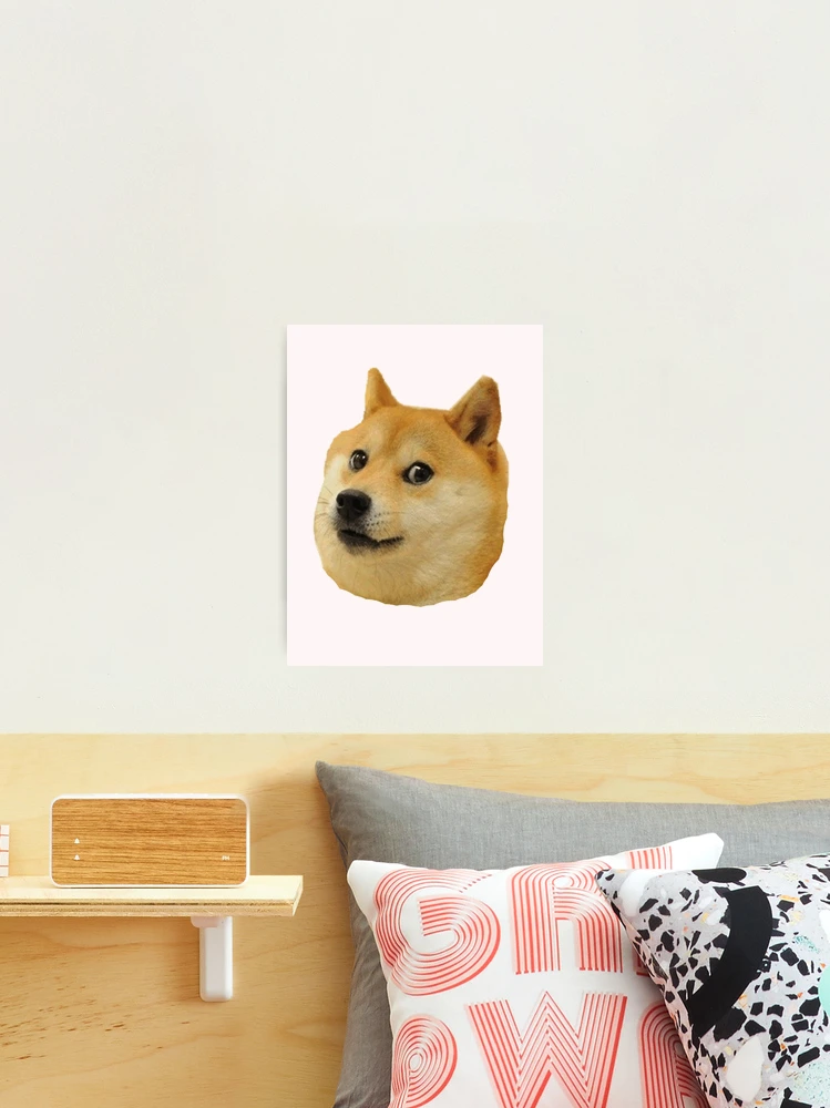 Doge Shibe Gesicht